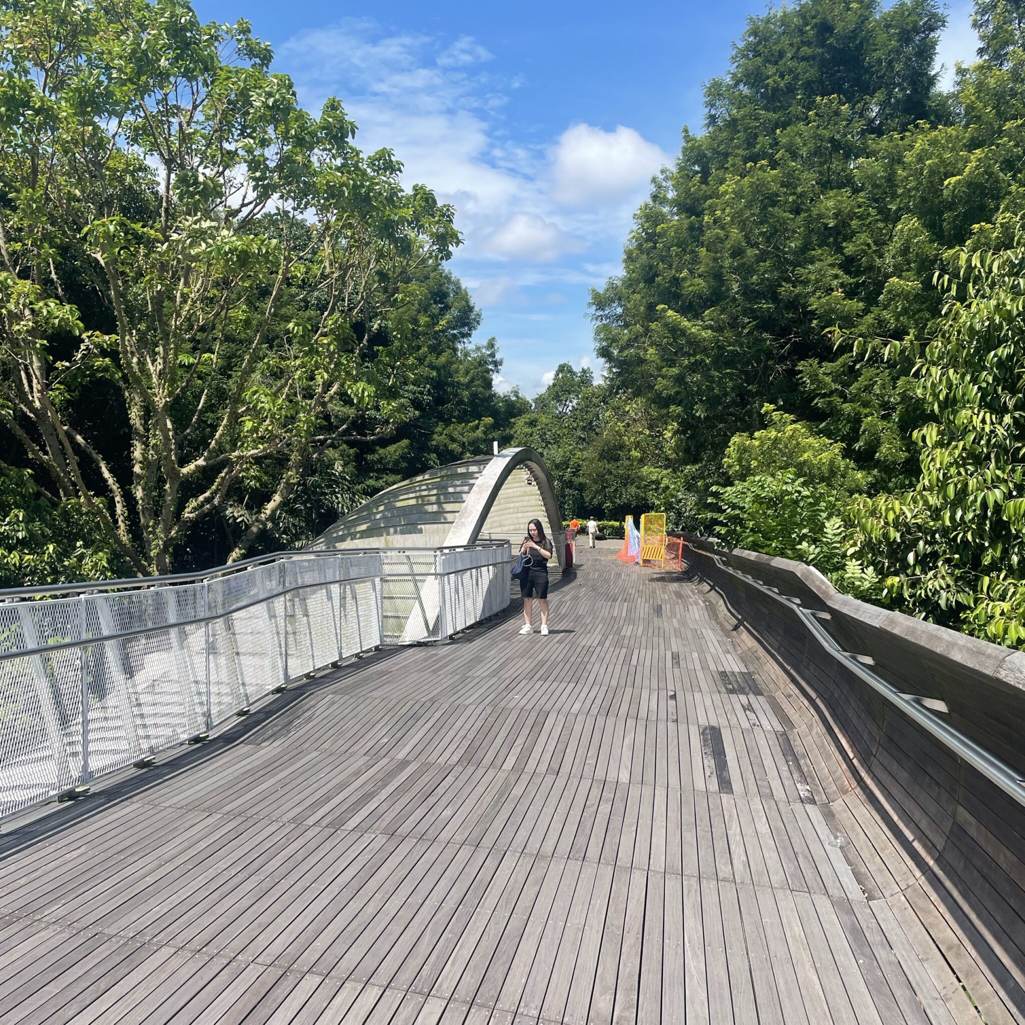 Exploring Singapore's Henderson Waves: A Guide to the Iconic Bridge ...