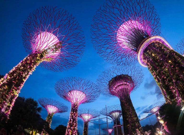 Exploring the Supertree Grove: A Guide to Singapore's Spectacular Urban ...