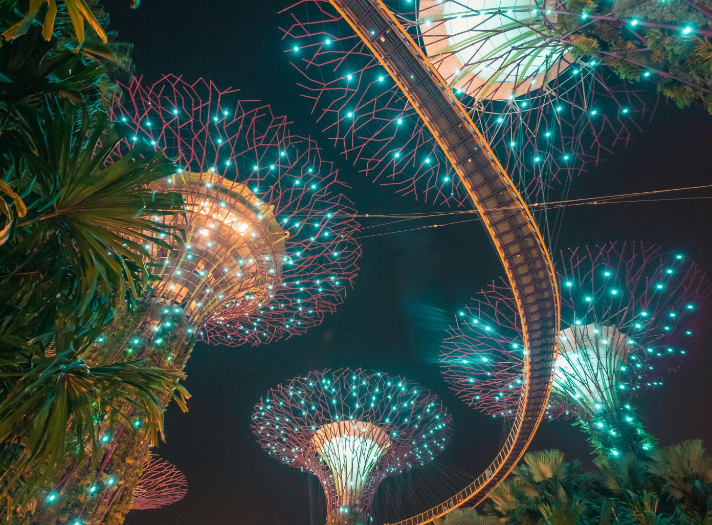 Discover the Enchanting Night Singapore Attractions - Singapore GoTo